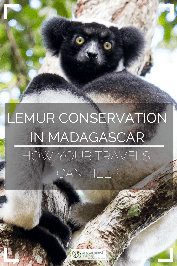 How Your Travels in Madagascar Can Support Conservation and Communities ...